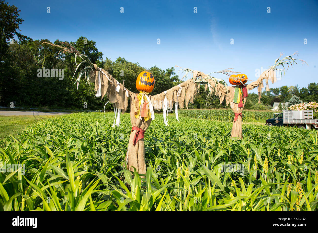 Decorations decoration hi-res stock photography and images - Alamy