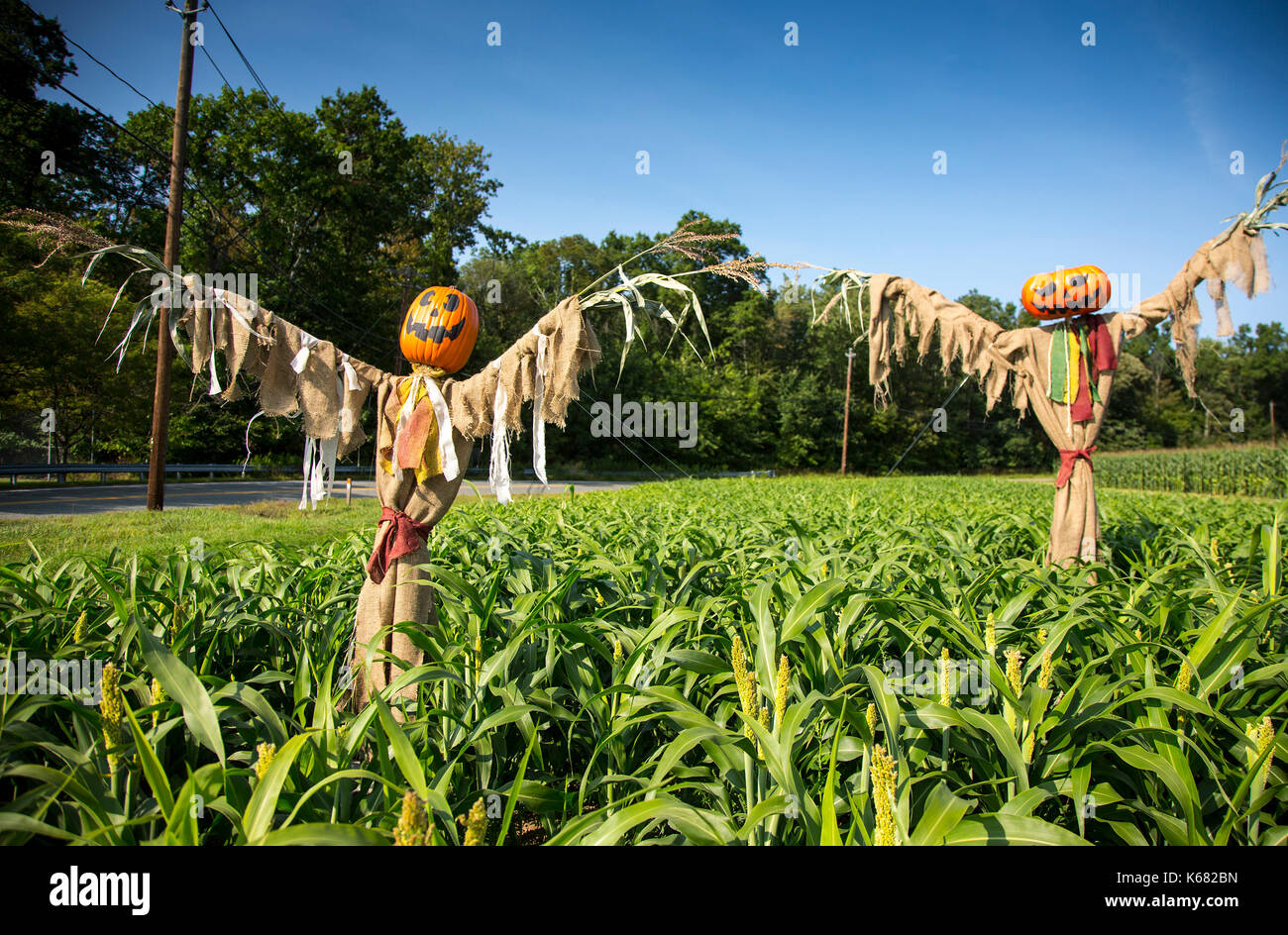 Decorations decoration hi-res stock photography and images - Alamy