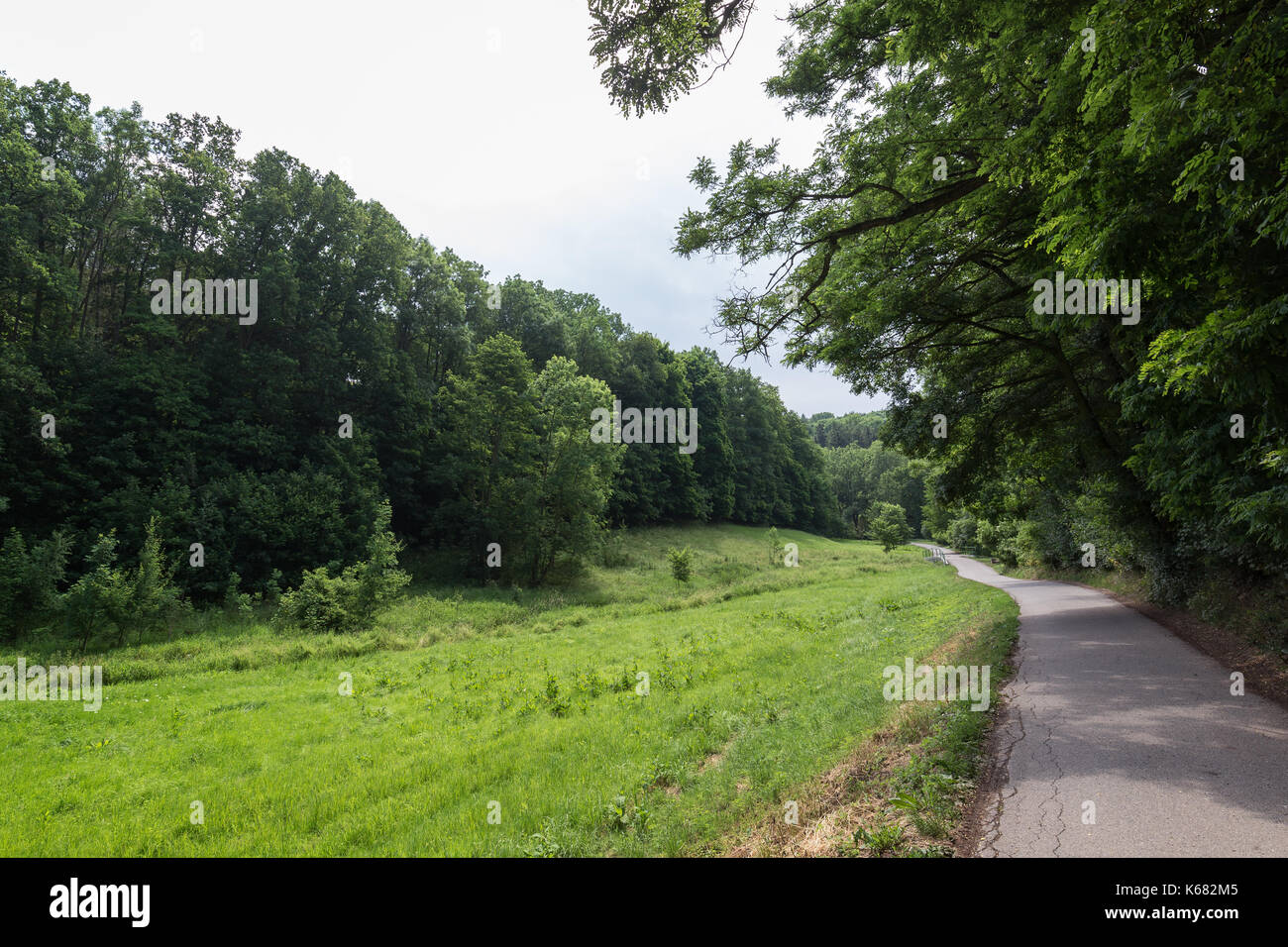 Forest, meadow and paved path at the Divoka Sarka. It's a nature ...