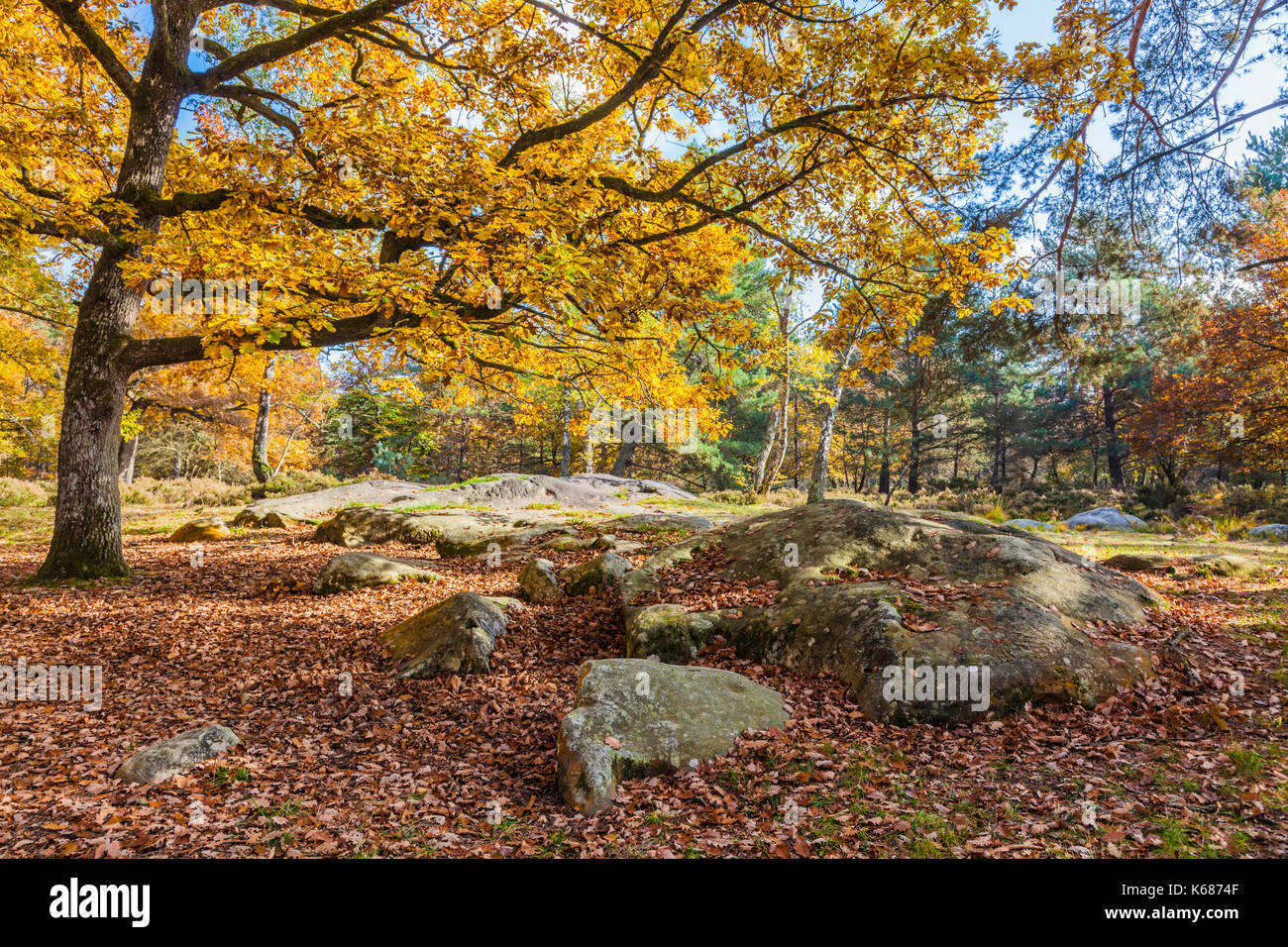 Beautiful fall landscape with colorful trees and rocks located in ...