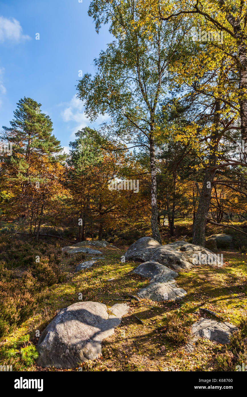 Beautiful fall landscape with colorful trees and rocks located in ...