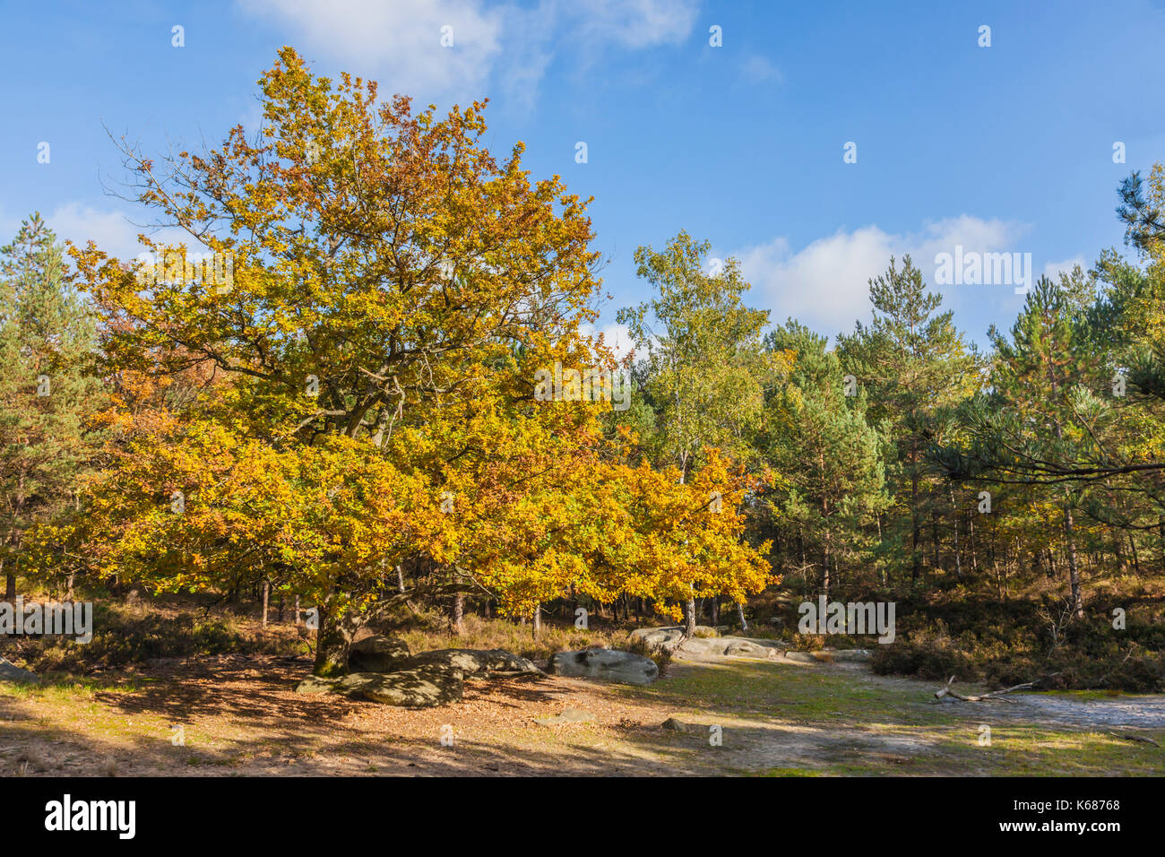 Beautiful fall landscape with colorful trees and rocks located in ...