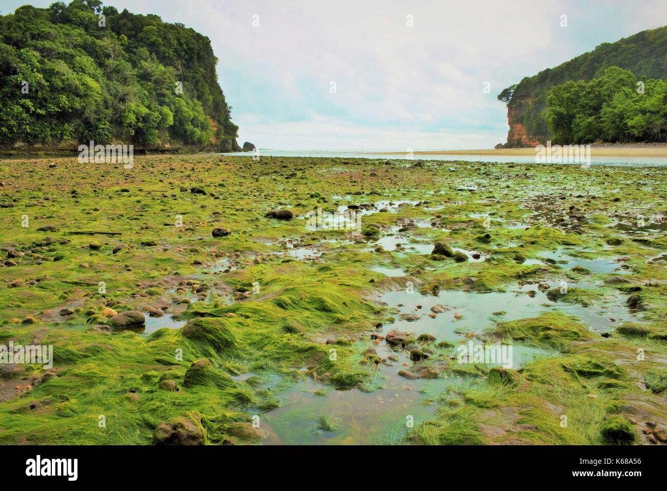 Kondang Bandung beach, in Malang Indonesia Stock Photo - Alamy