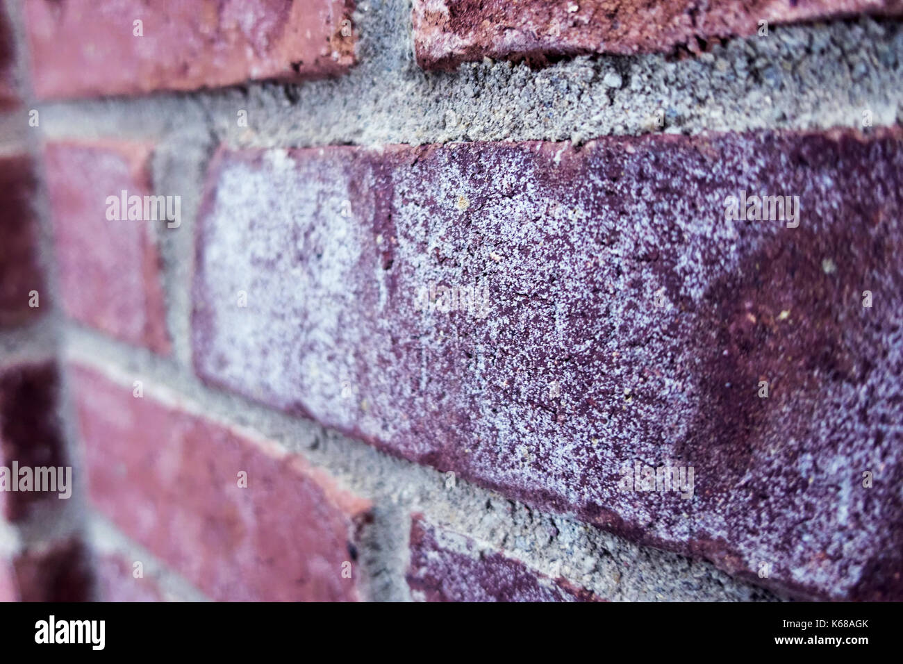 Ice brick wall texture hi-res stock photography and images - Alamy
