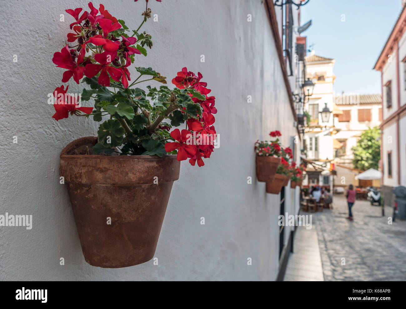 Flowerpot and architecture hi-res stock photography and images - Alamy