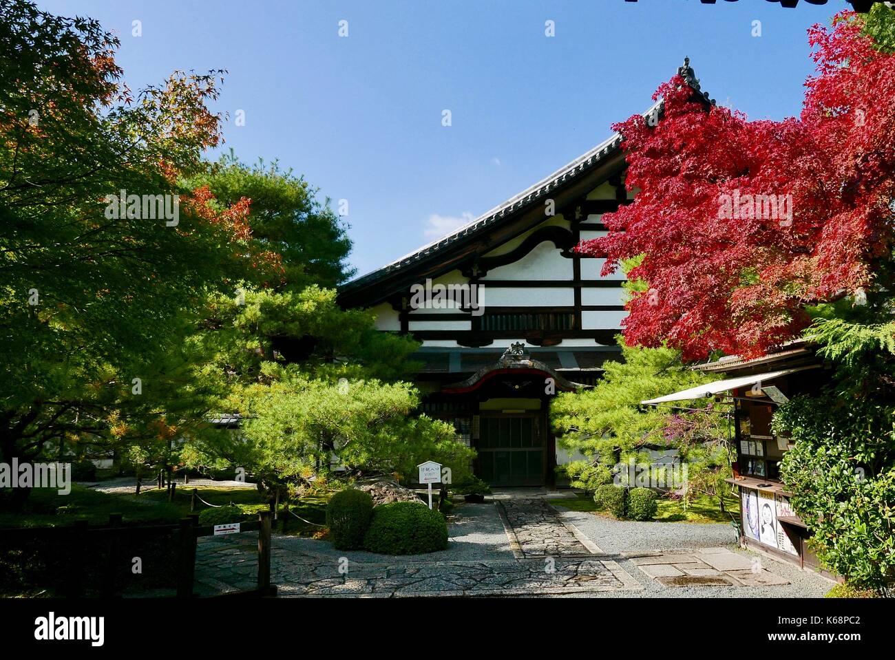 Konchi hi-res stock photography and images - Alamy