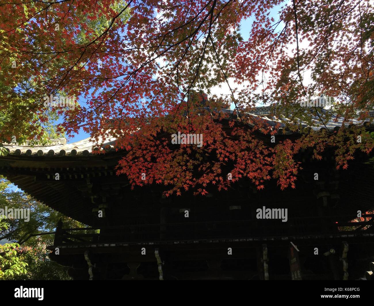 Konchi High Resolution Stock Photography and Images - Alamy