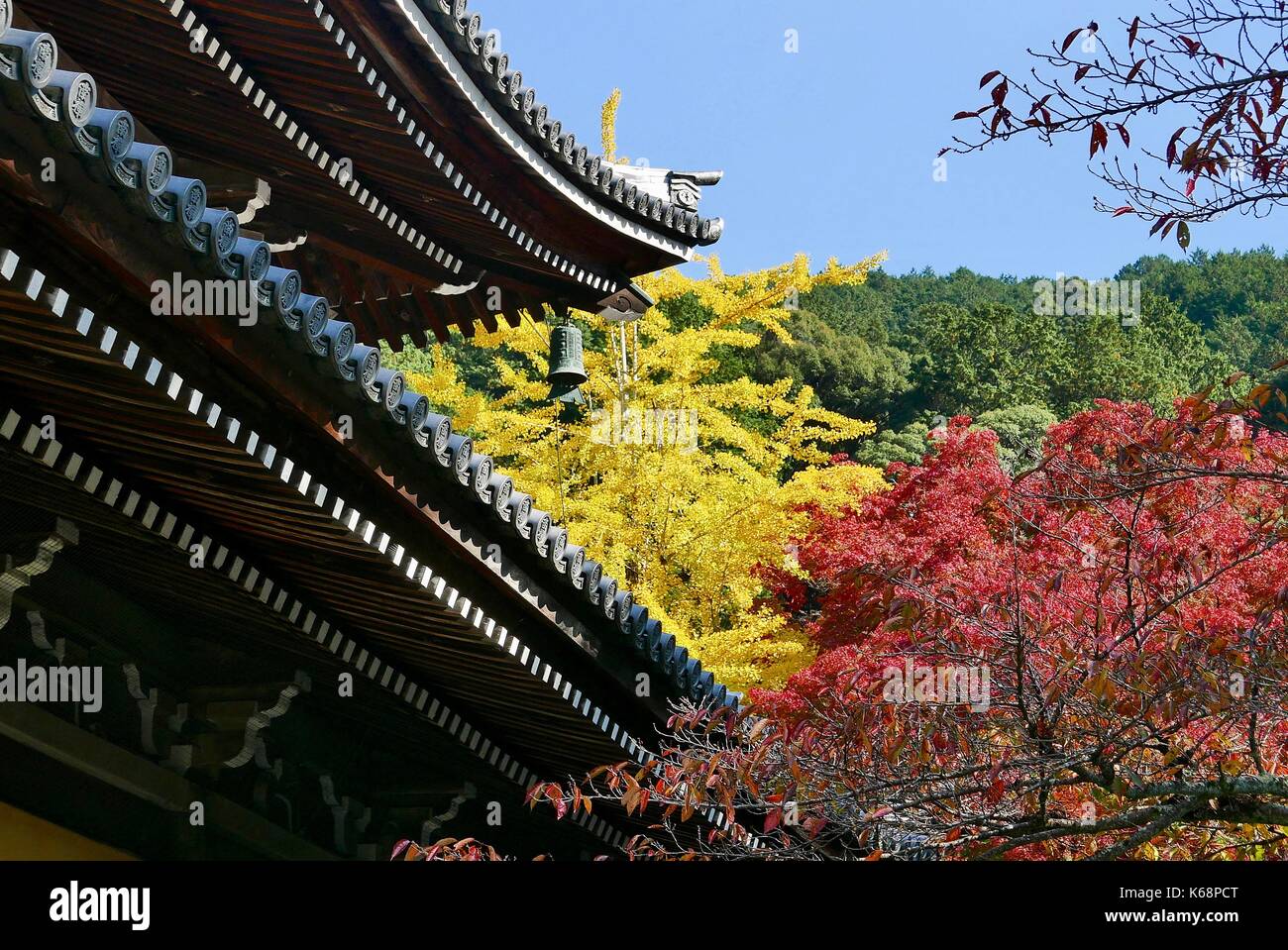 Konchi in temple hi-res stock photography and images - Alamy