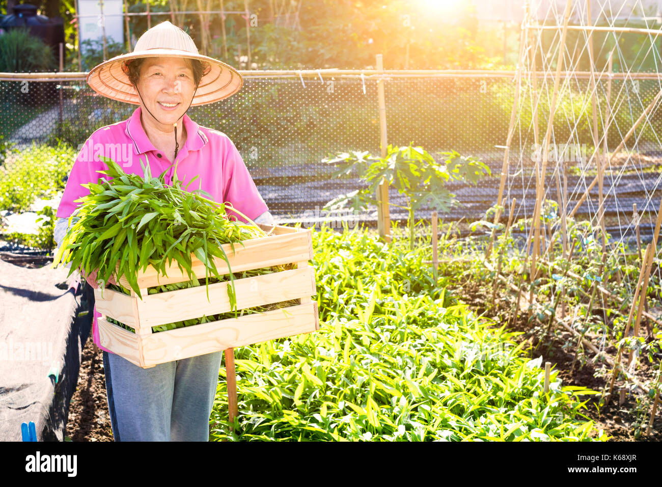 Farmer senior hi-res stock photography and images - Alamy