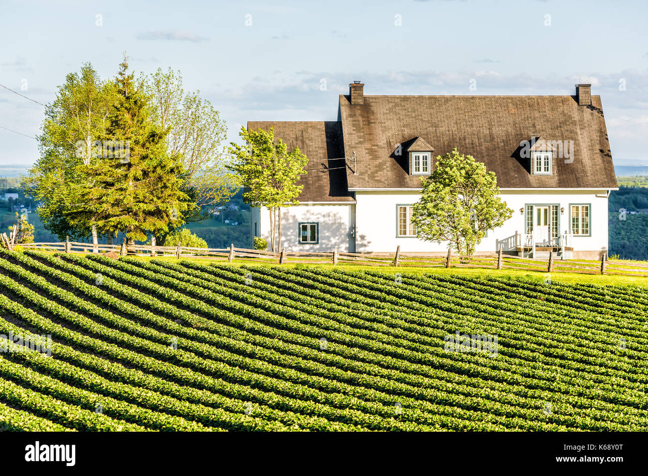 Landscape view of farm in Ile D'Orleans, Quebec, Canada with green rows ...