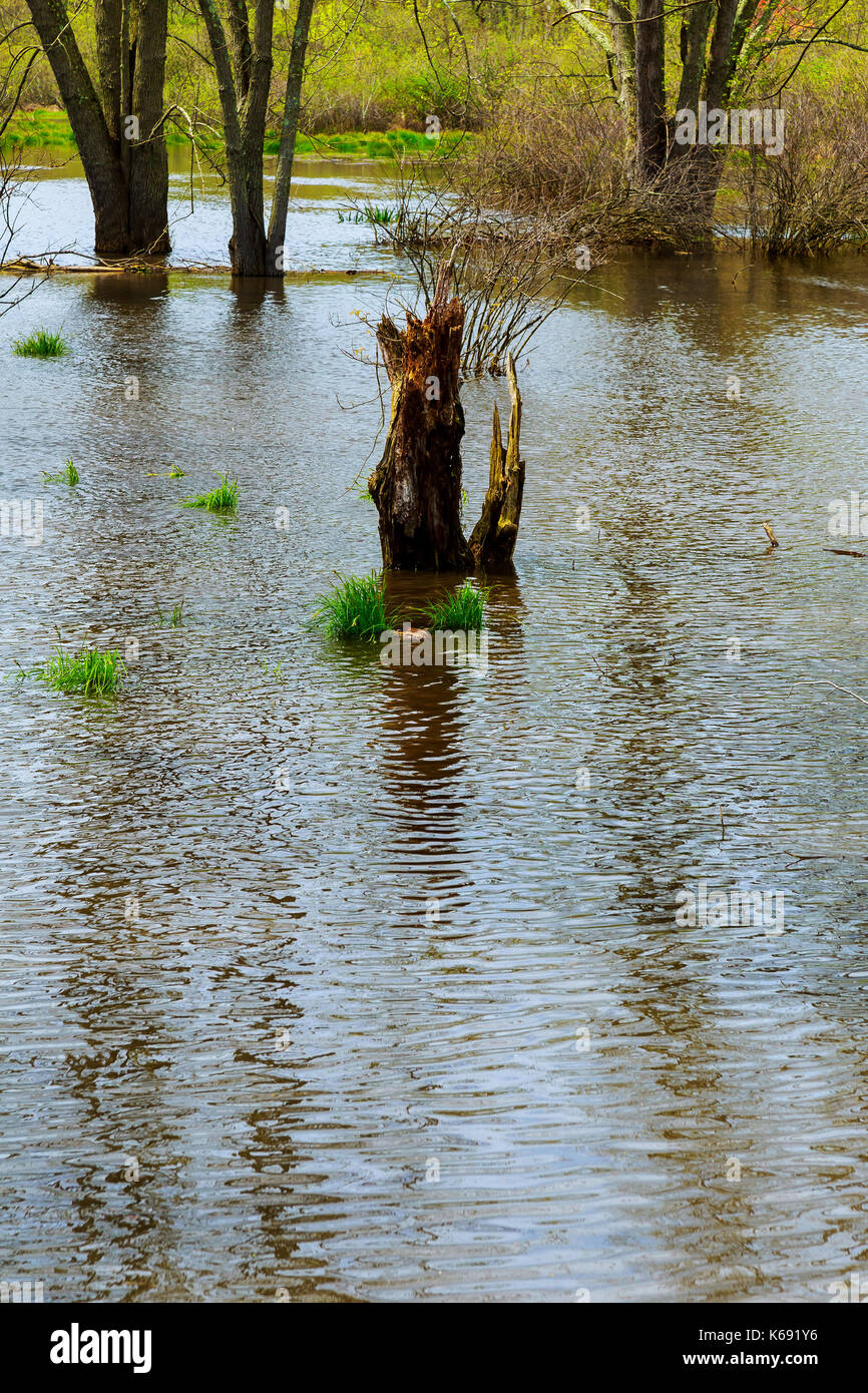 Flooded after heavy rain flood flooded park Stock Photo - Alamy
