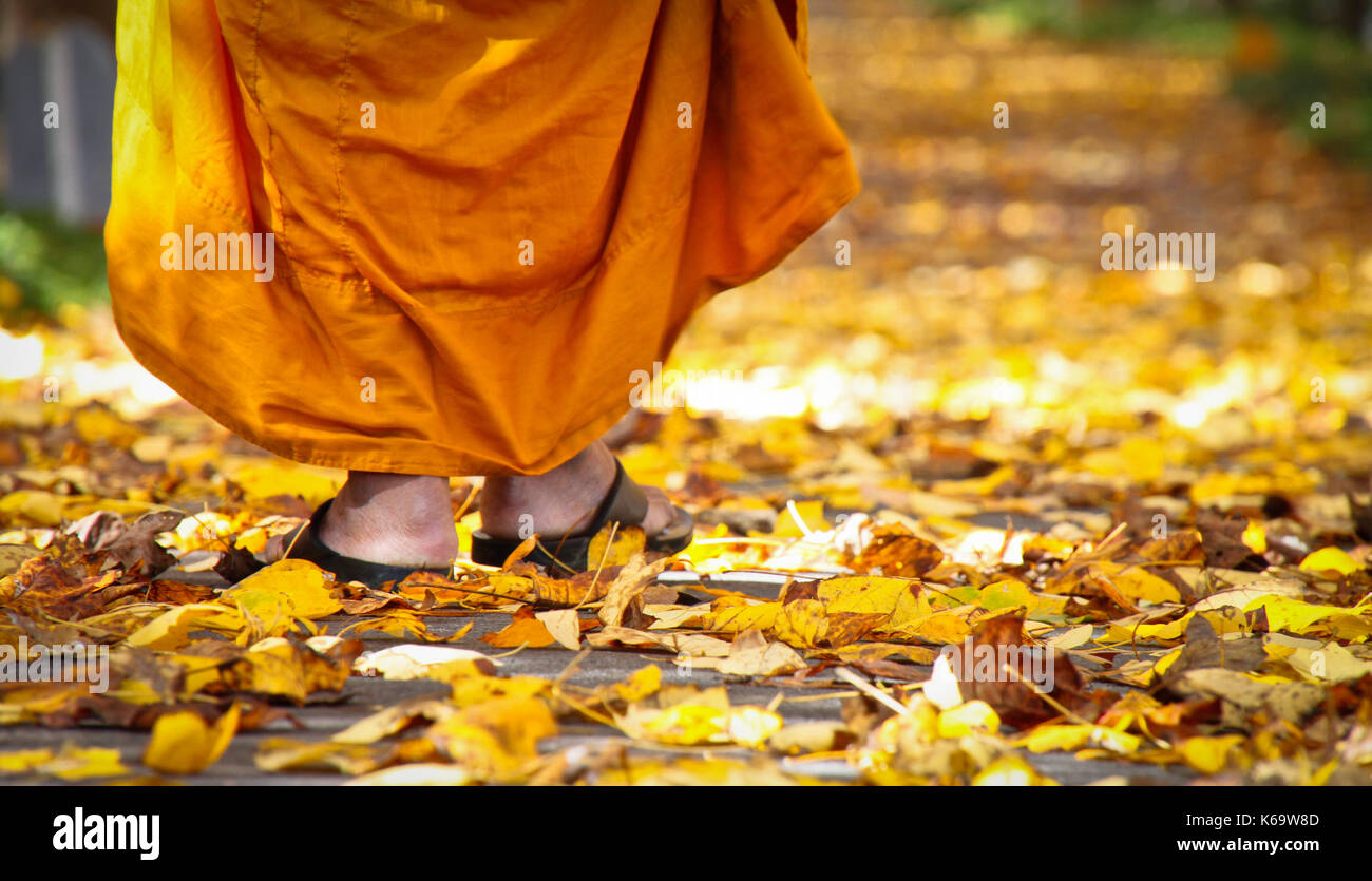 Saffron sunrise hi-res stock photography and images - Alamy