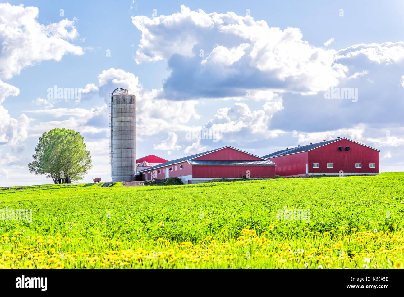 Dairy farm in quebec hi-res stock photography and images - Alamy