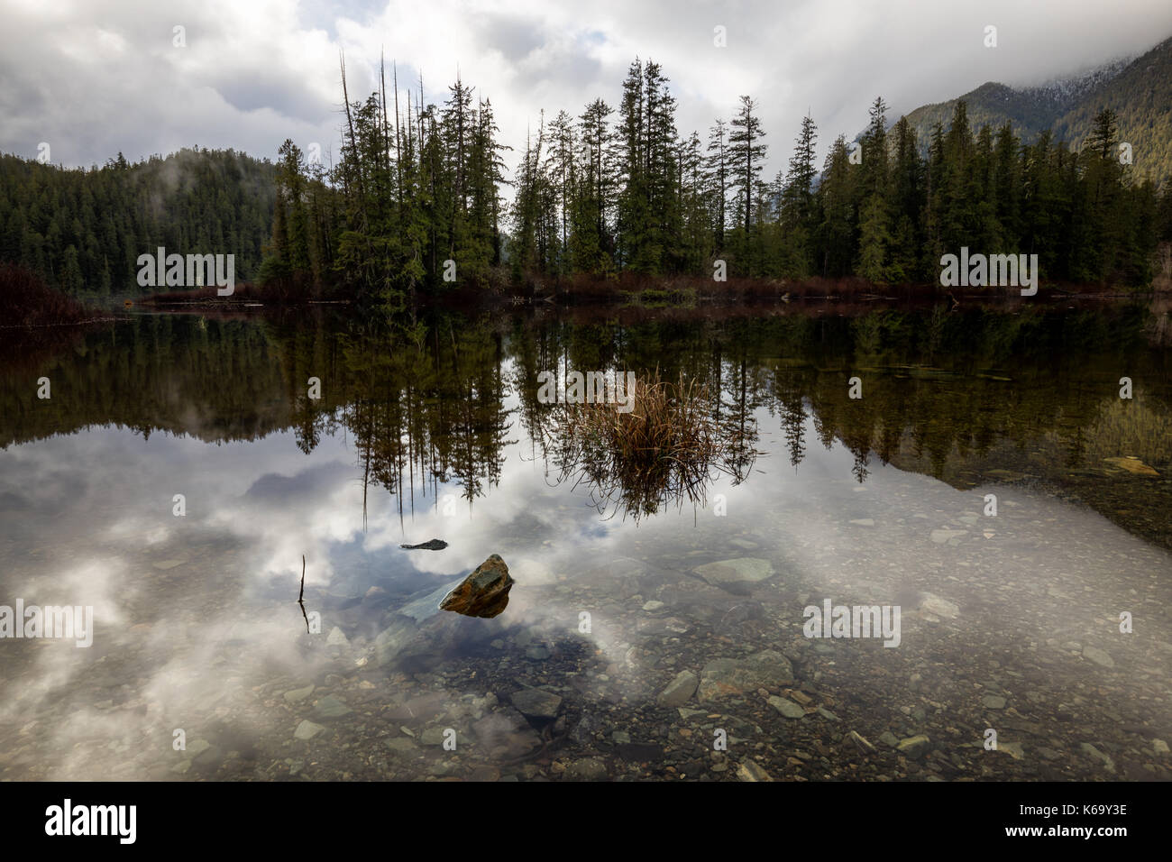 Beautiful nature landscape view of a reflection in the water. Picture ...