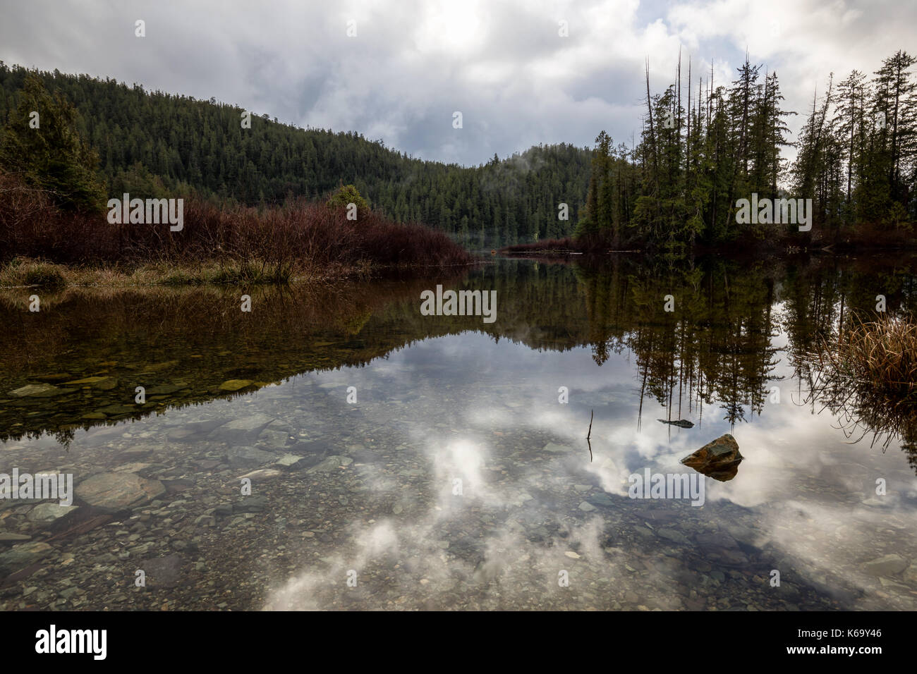 Beautiful nature landscape view of a reflection in the water. Picture ...