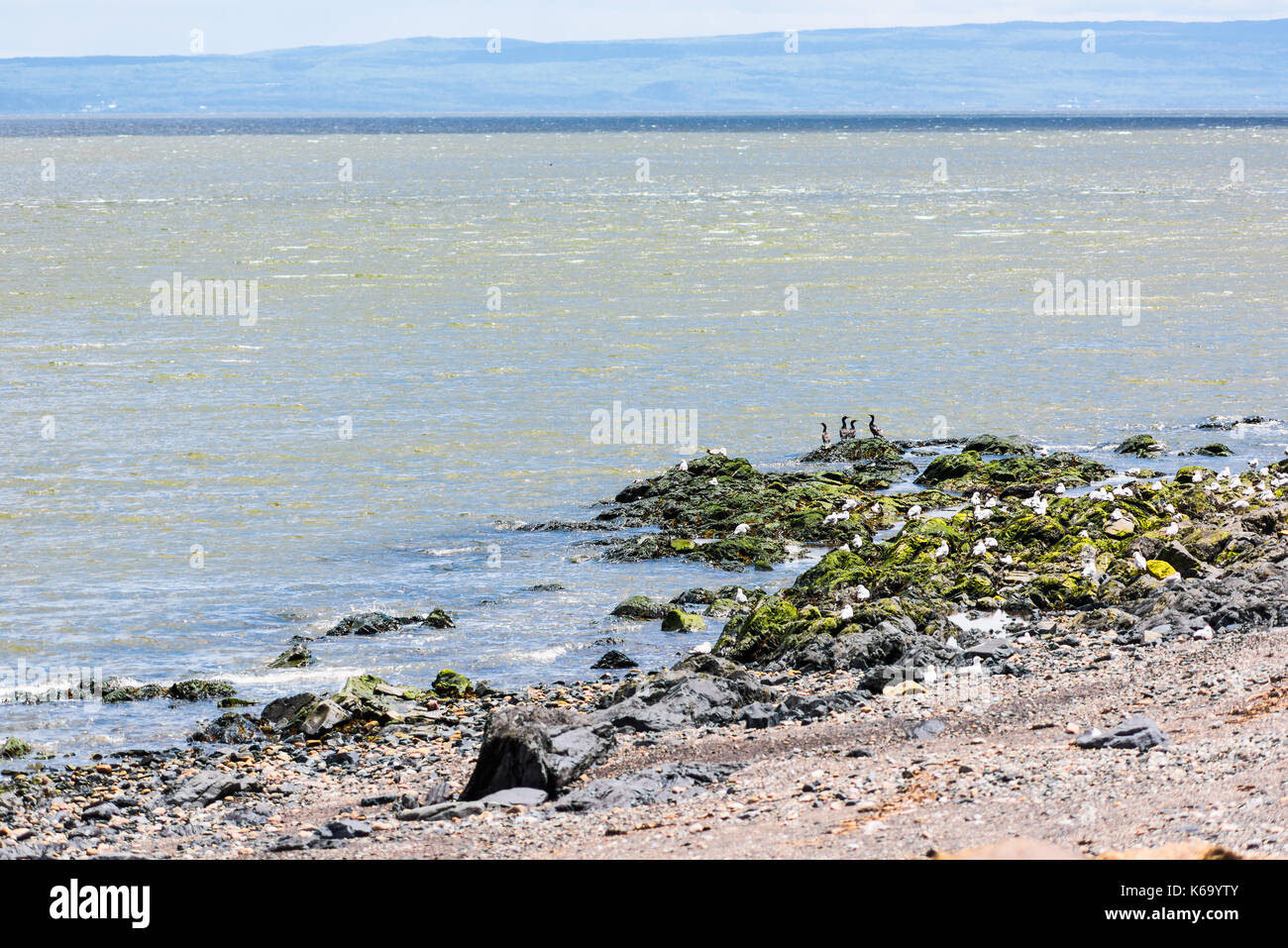 Rocky beach shore on Saint Lawrence river in Saint-Irenee, Quebec ...