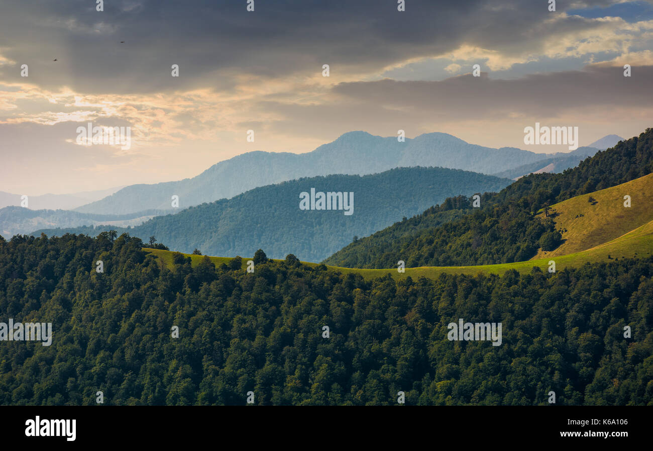 mountain ridge with forest on hills at sunrise. beautiful nature ...