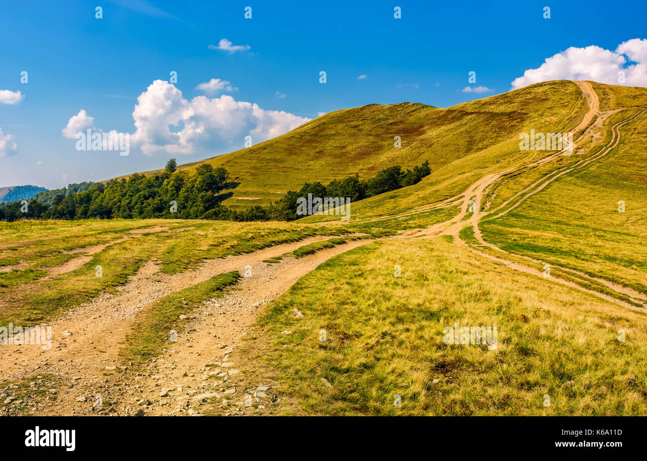 footpath through hills with forest. beautiful nature scenery in fine ...