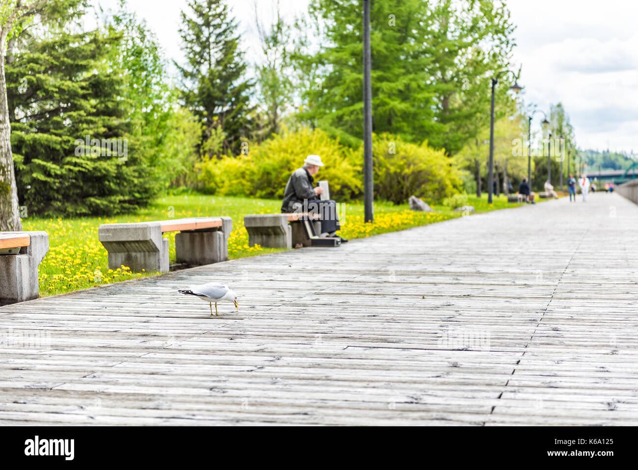 Sidewalk terrace hi-res stock photography and images - Alamy