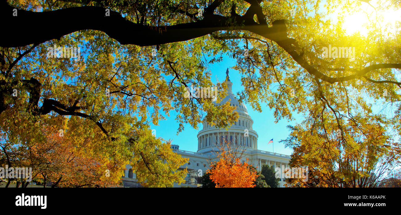 Us capital building hi-res stock photography and images - Alamy