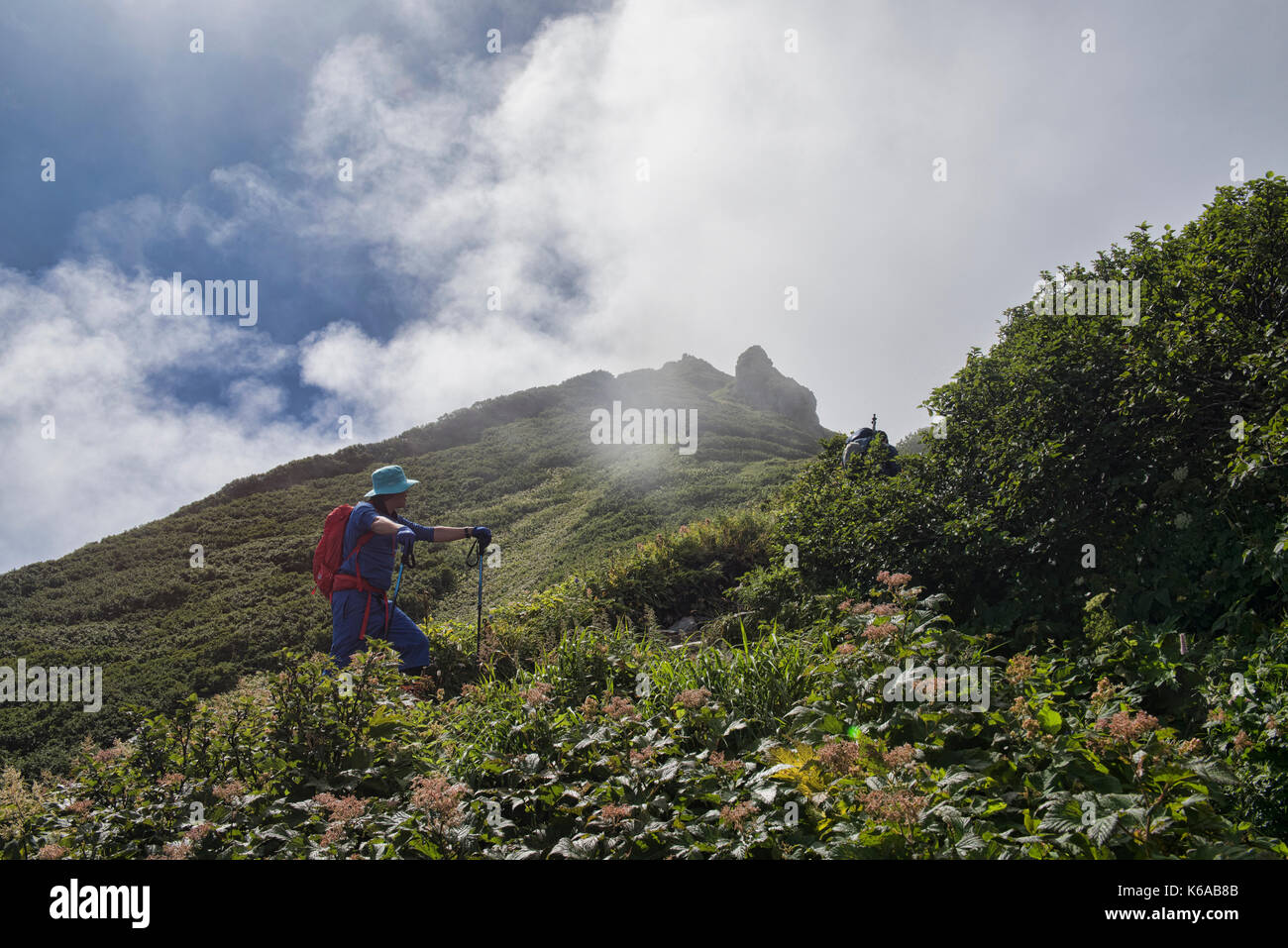 Climber heading to the summit of Mount Rishiri, Rishiri Island ...