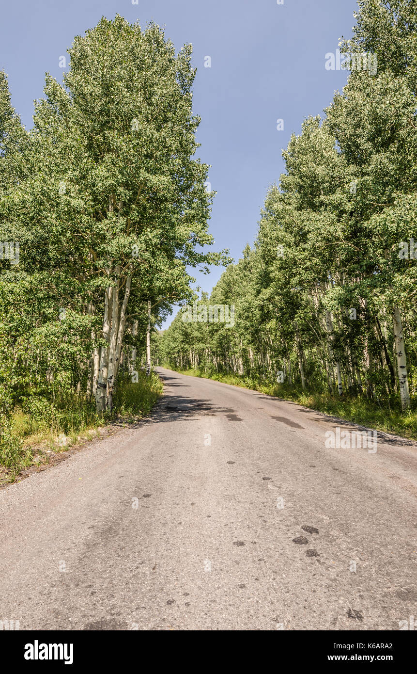 Narrow roads hi-res stock photography and images - Alamy