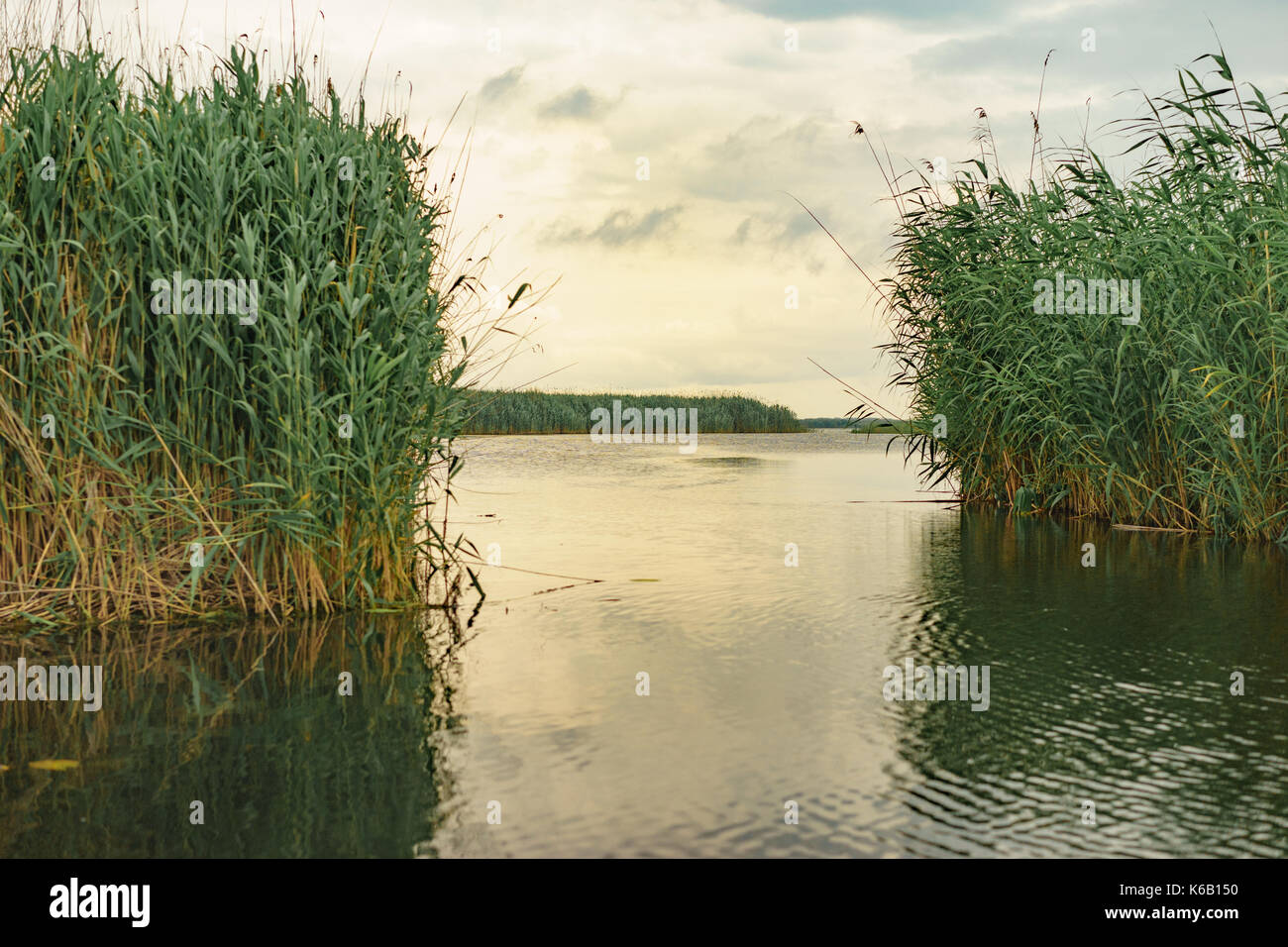 Danubian delta hi-res stock photography and images - Alamy