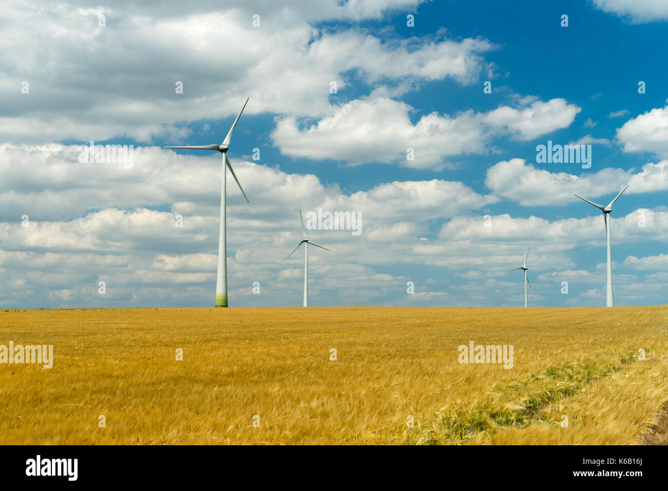 Eolian generators in a beautiful wheat field. eolian turbine farm,wind ...