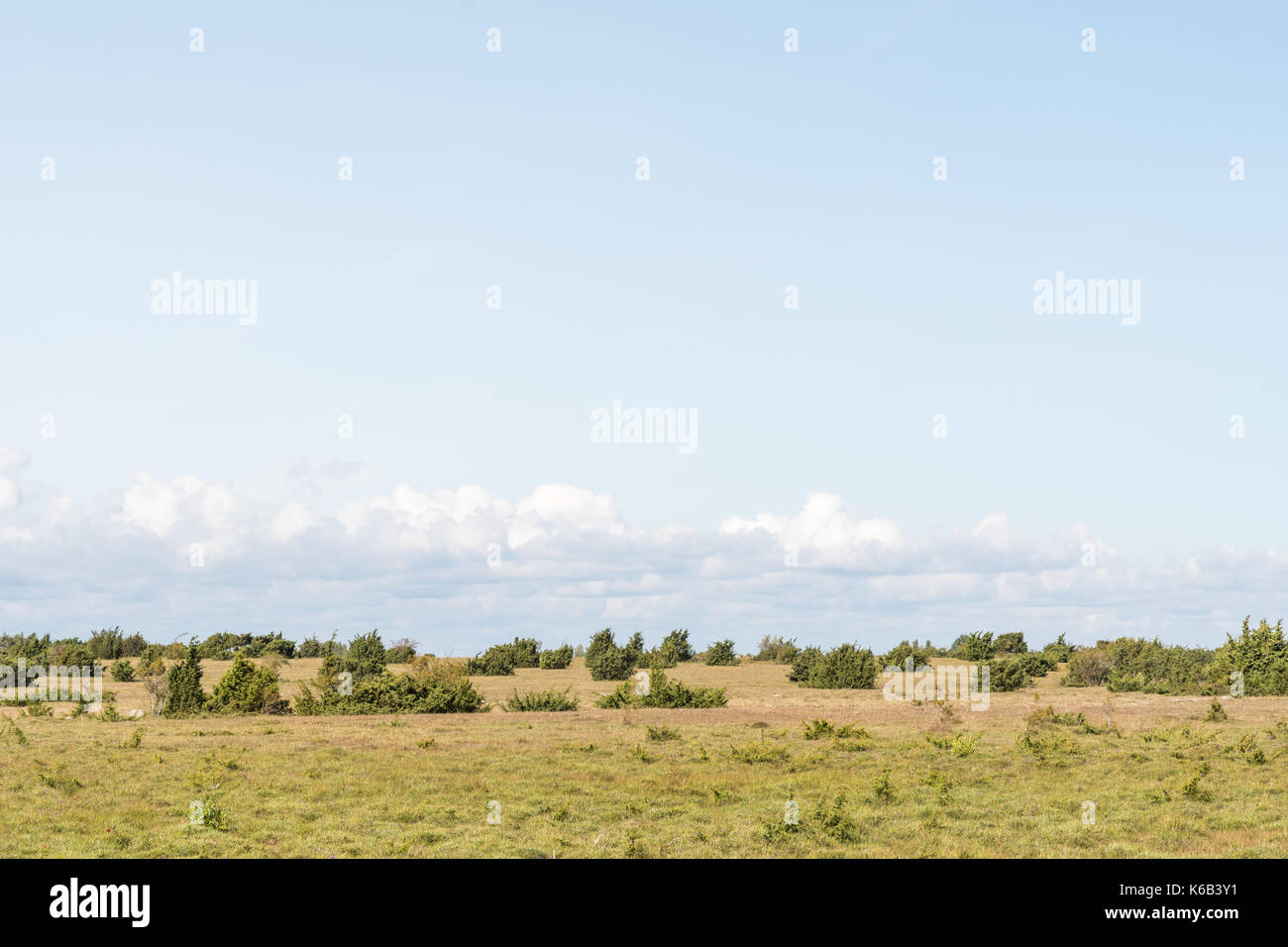 Wide plain hi-res stock photography and images - Alamy