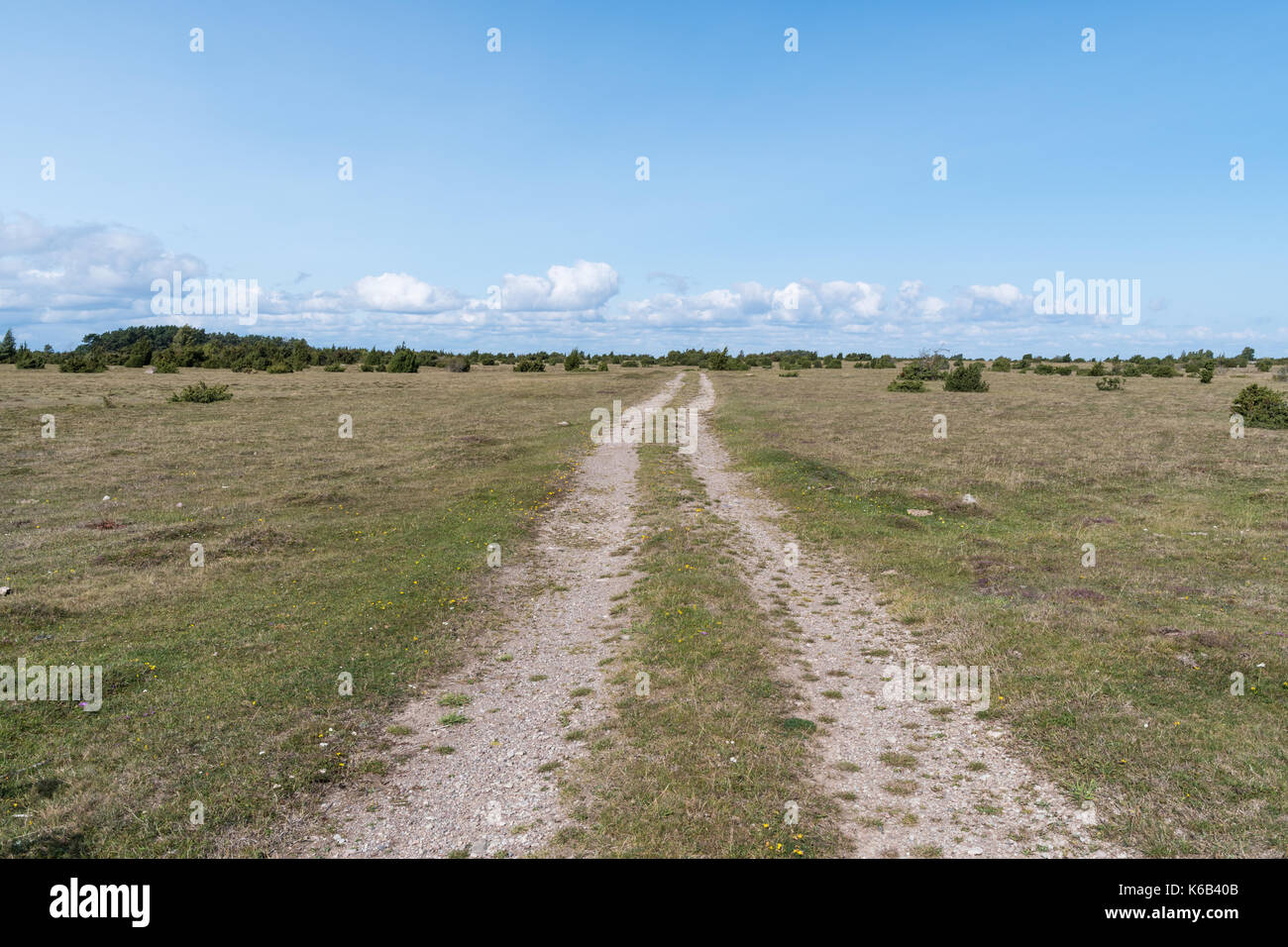 Dirt road leading straight into a wide open grassland Stock Photo - Alamy