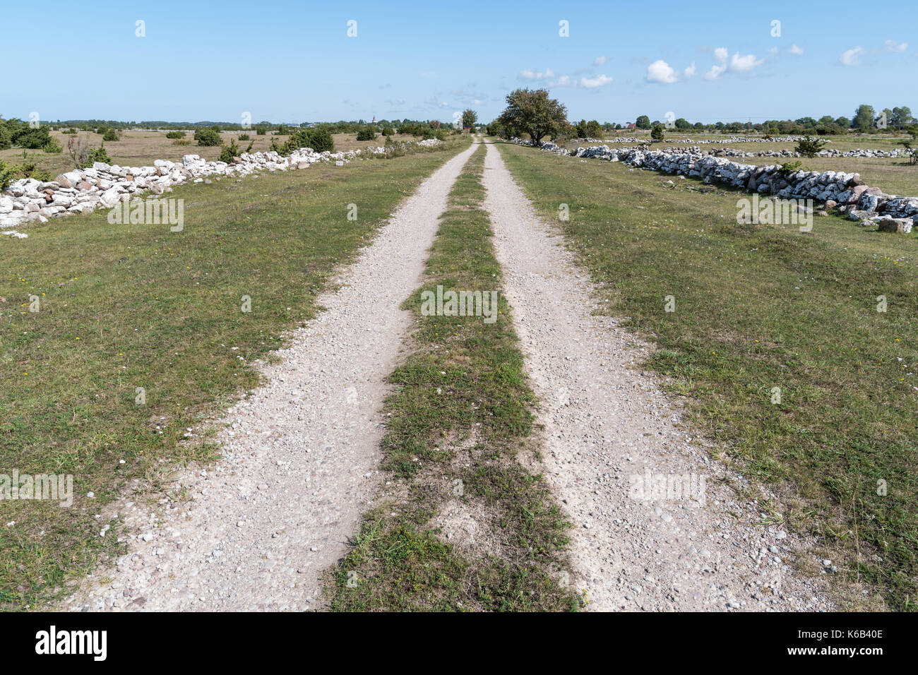 Straight country road surrounded with old stone walls at the swedish ...
