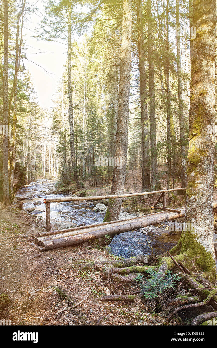 Log Crossing Stream High Resolution Stock Photography and Images - Alamy
