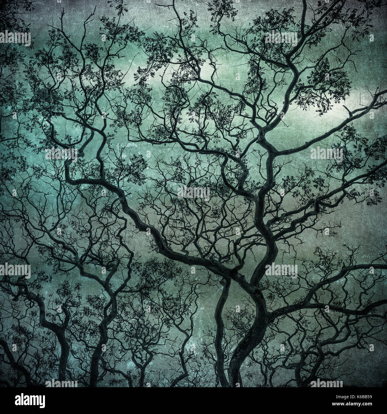 grunge image of dark forest, perfect halloween background Stock Photo ...