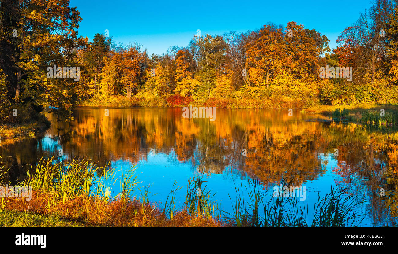 Perfect fall hi-res stock photography and images - Alamy