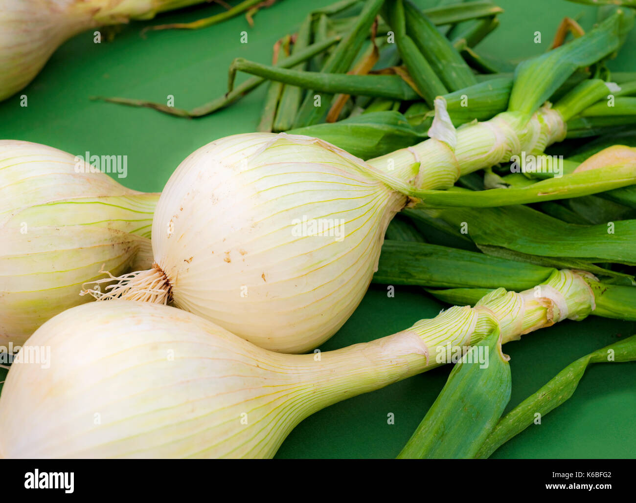 Giant onions hi-res stock photography and images - Alamy