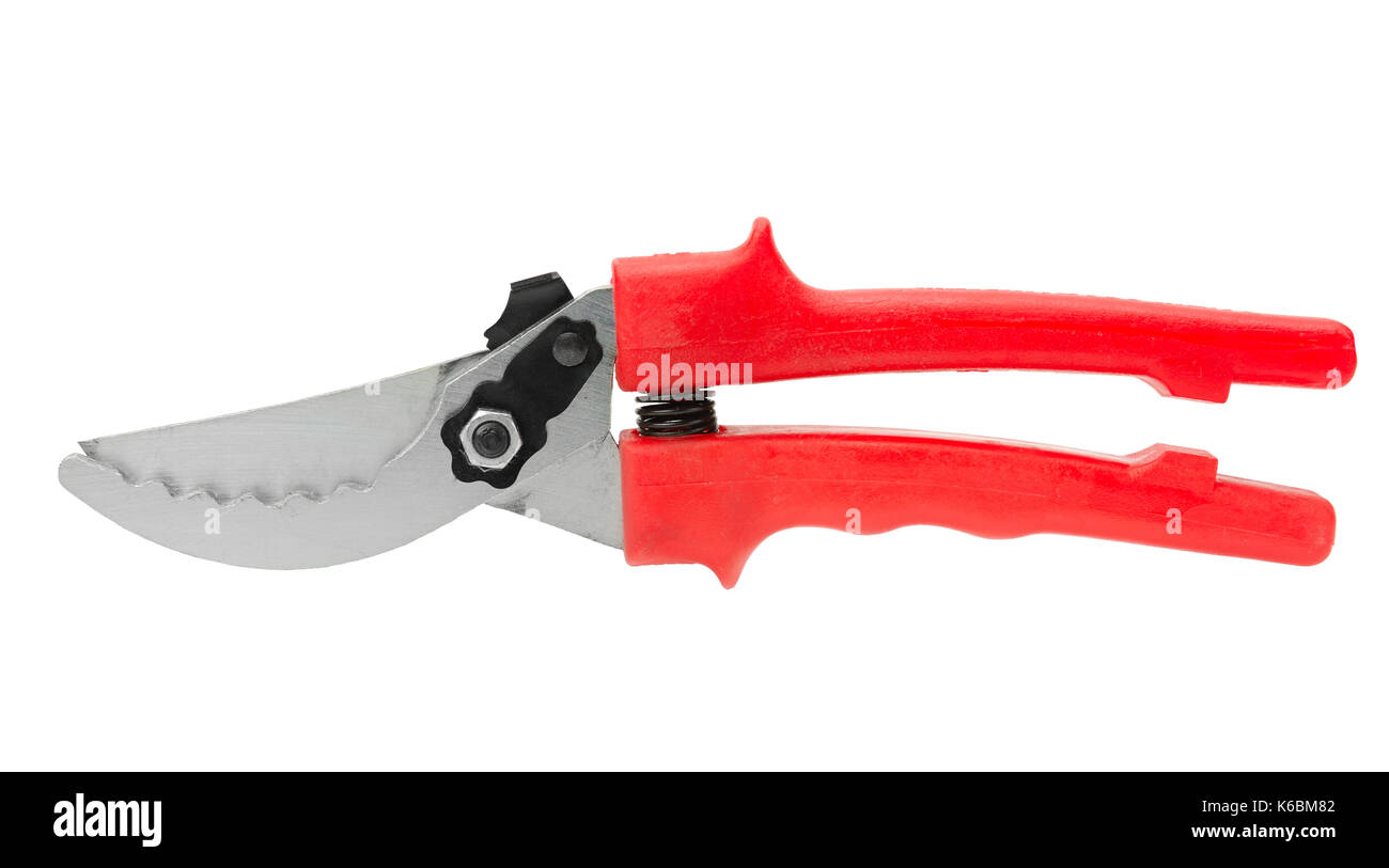 pruner isolated on white background Stock Photo - Alamy