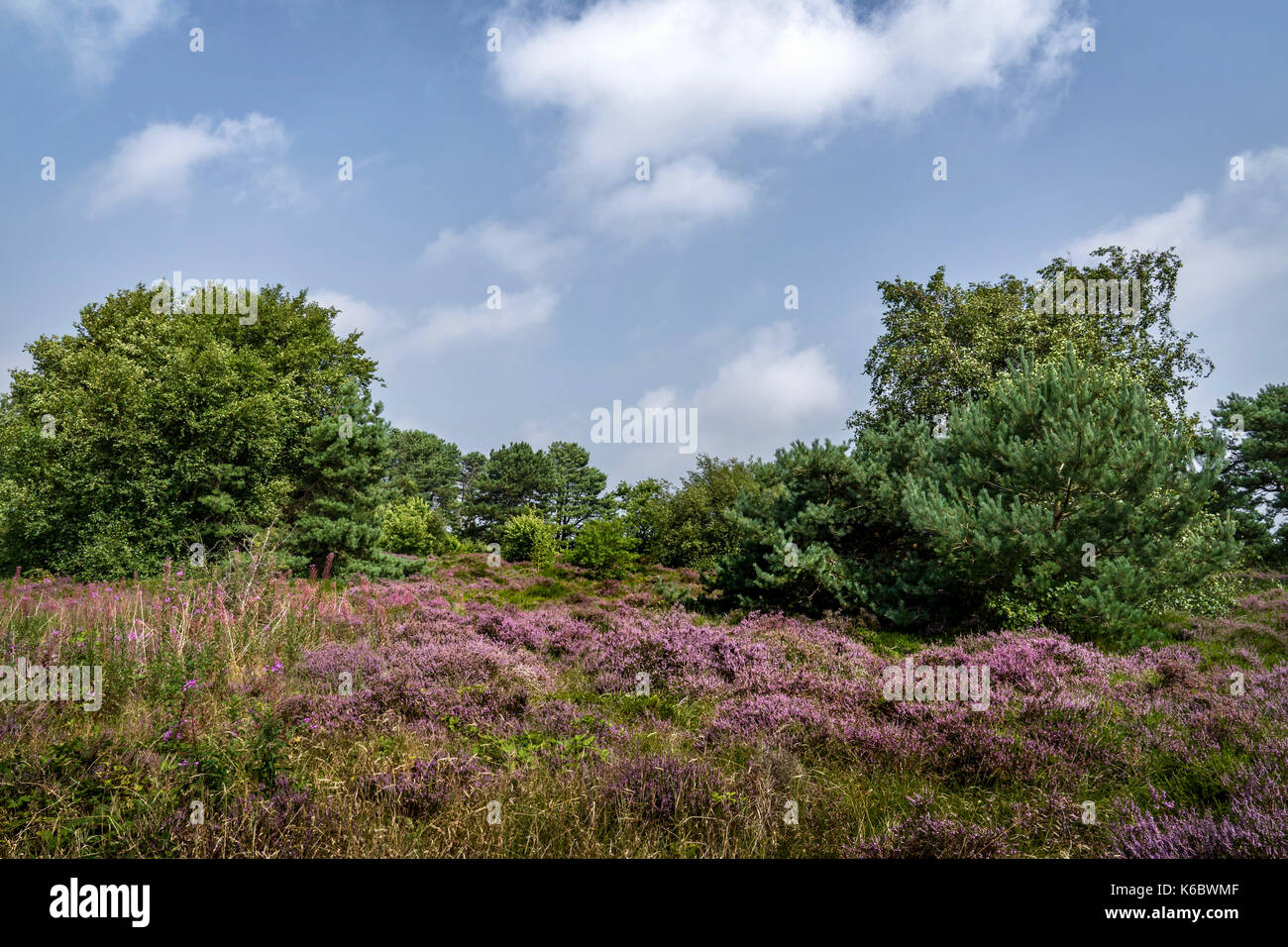 Heide park germany hi-res stock photography and images - Alamy