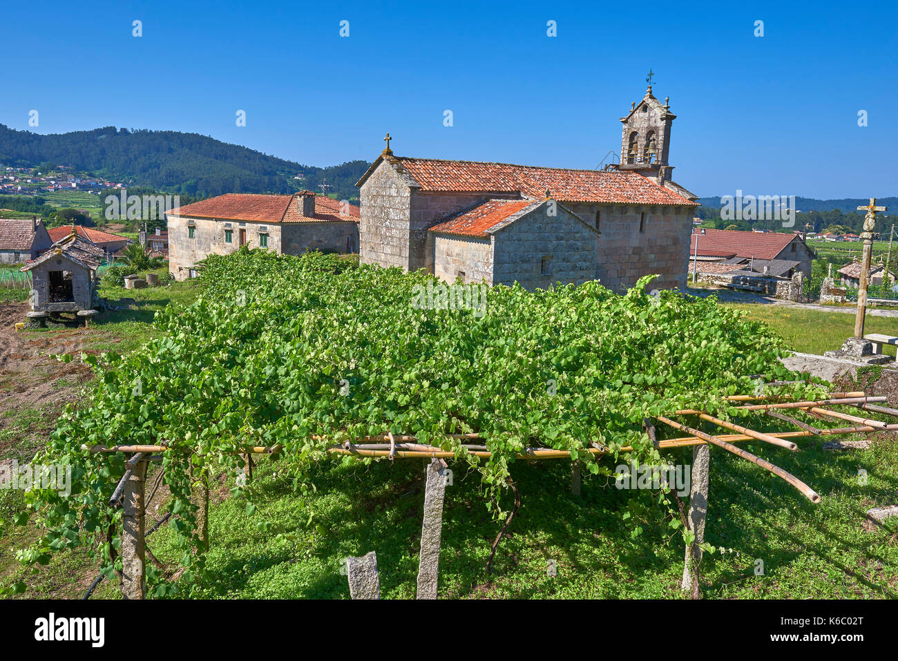 Albarino vineyard hi-res stock photography and images - Alamy