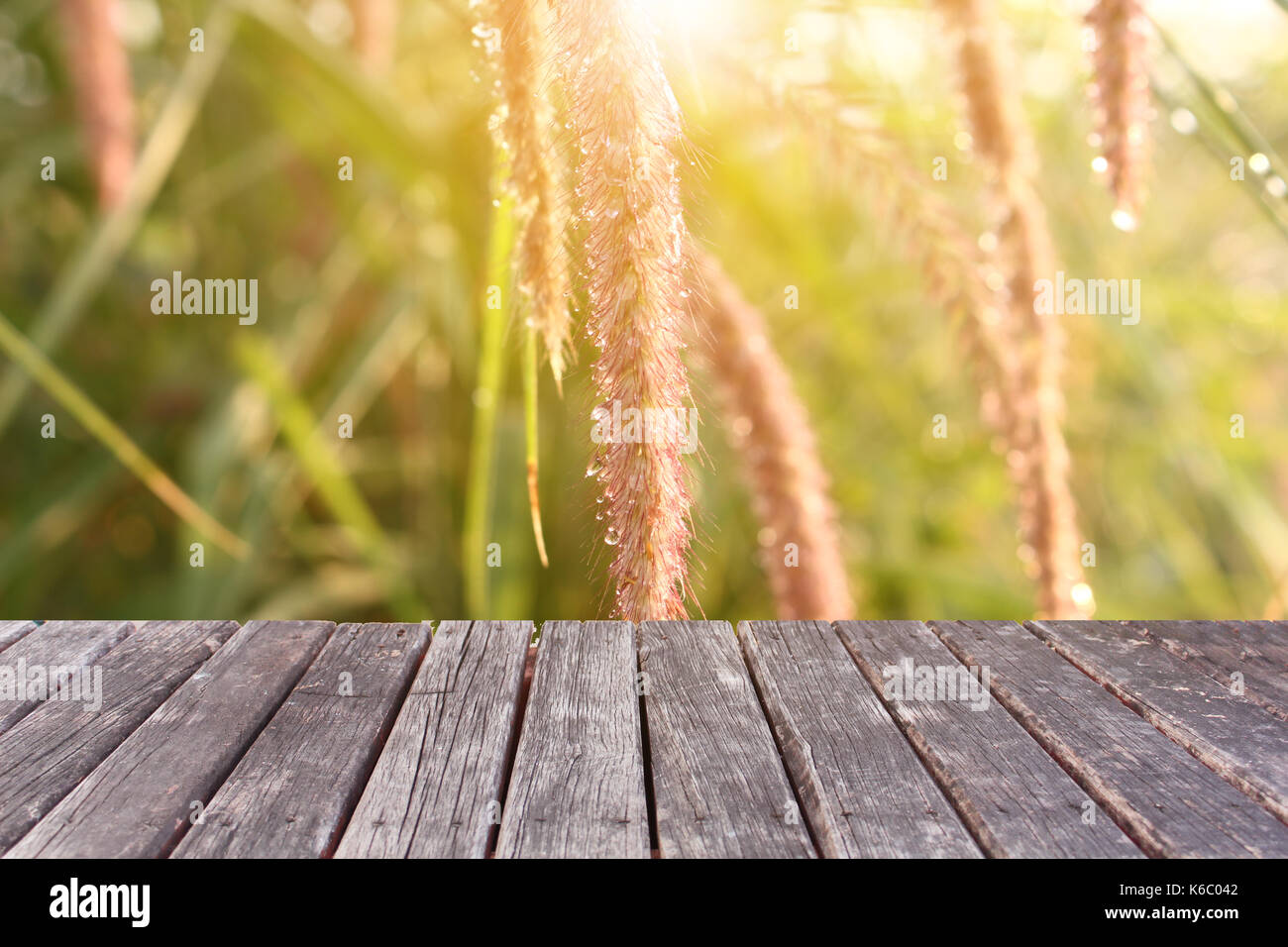 wood table on grass background Stock Photo - Alamy
