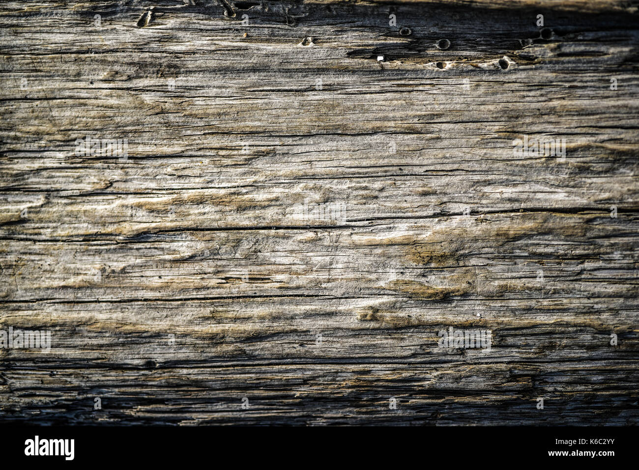 Textura very old wood, texture and color Stock Photo - Alamy