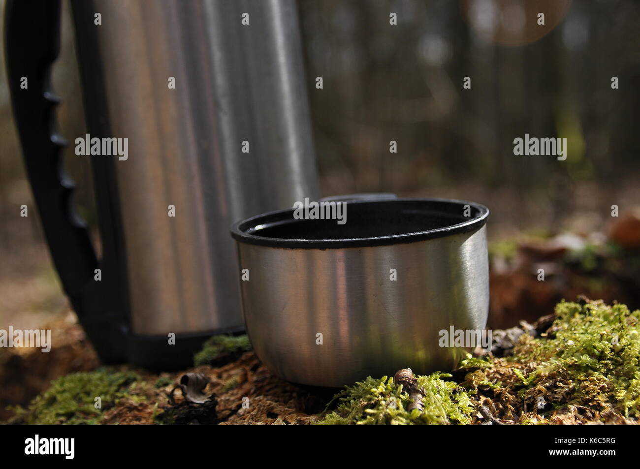 Hot tea in thermos for a walk in the woods while resting Stock Photo ...