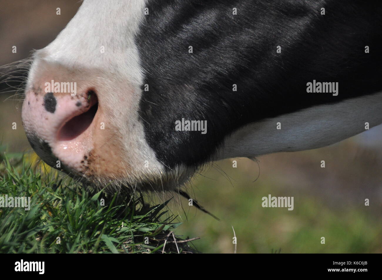 Encephalopathy High Resolution Stock Photography and Images - Alamy