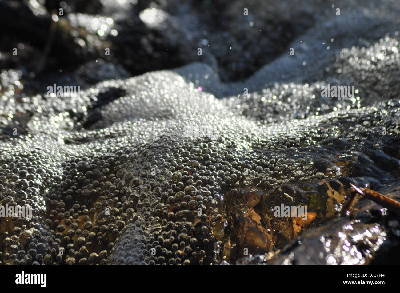 Torrent. Fast flowing brook. Clean, pure water from a waterfall Stock ...