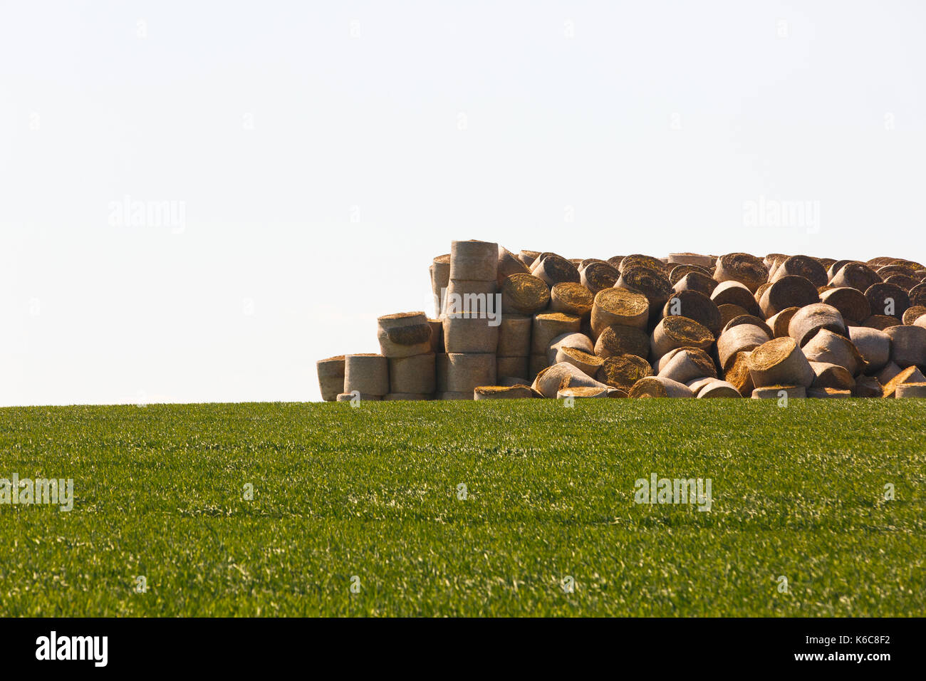 Haystack in middle of the field, prepared animal fodder on a farm ...