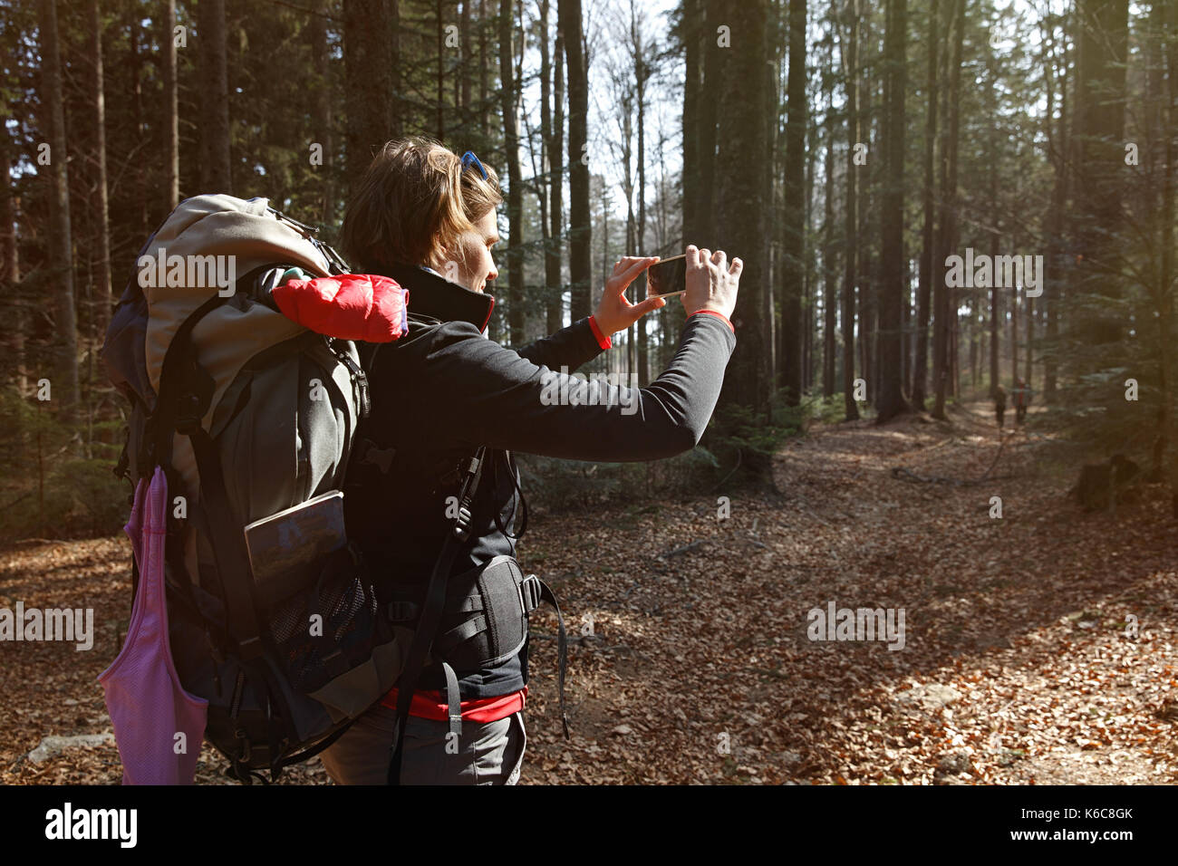 Hiker taking photographs on her hike through the woods. Memory ...