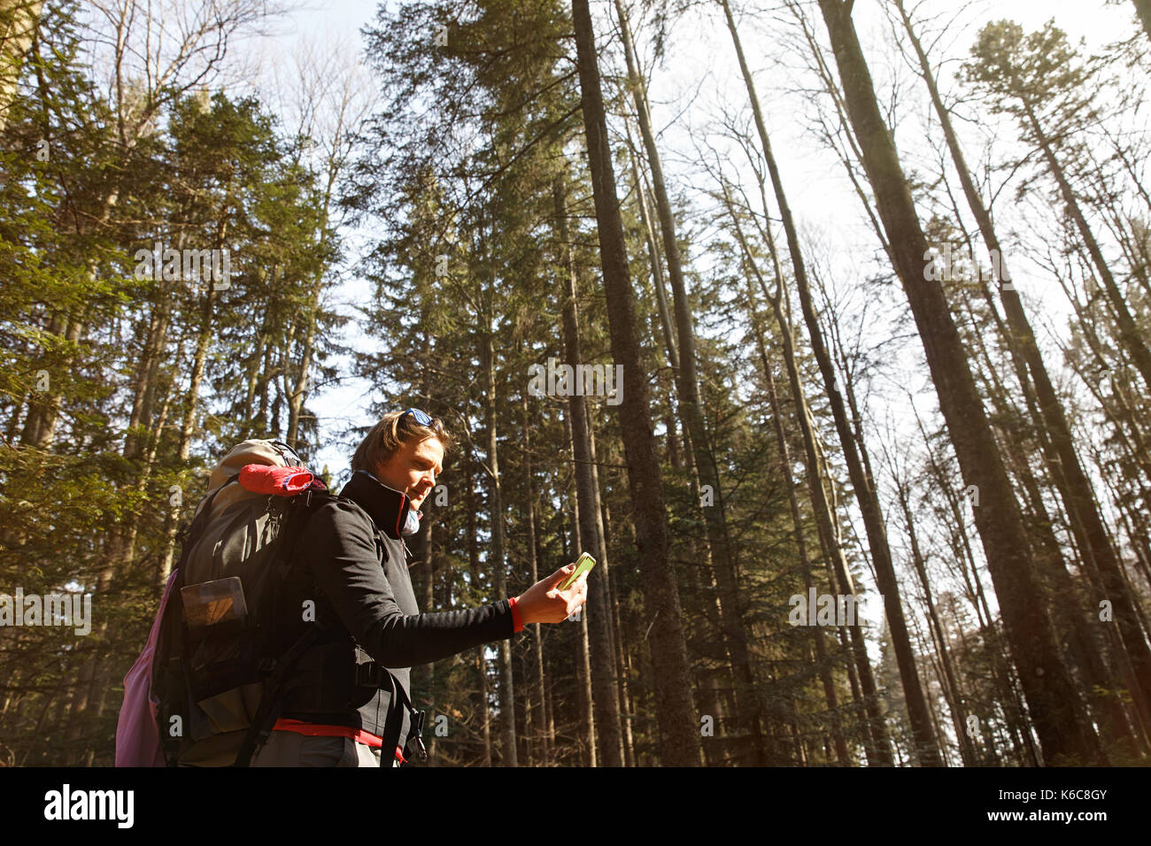Disoriented hiker checking her phone for GPS coordinates, being lost in ...