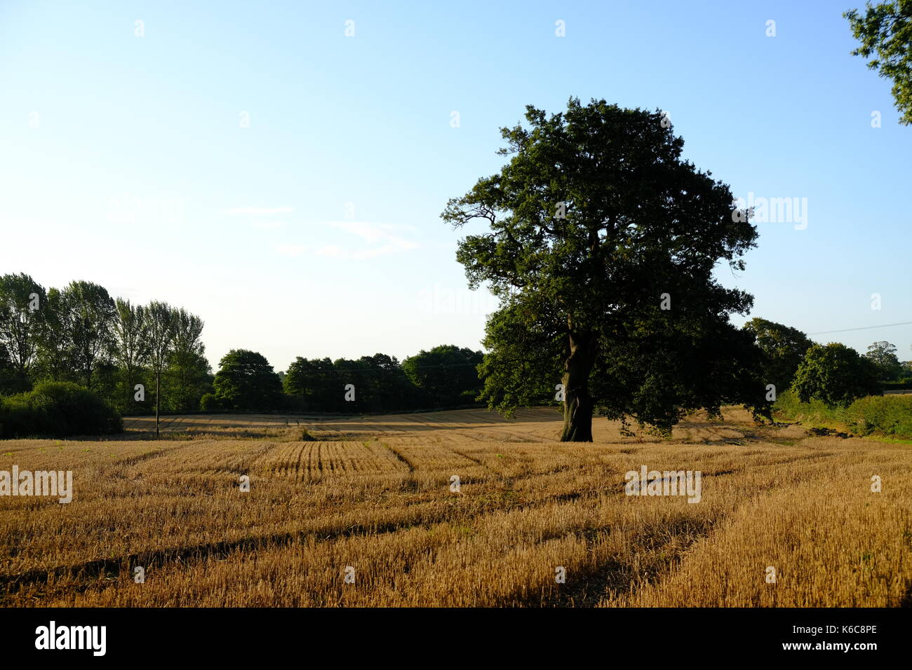 Scenerary hi-res stock photography and images - Alamy