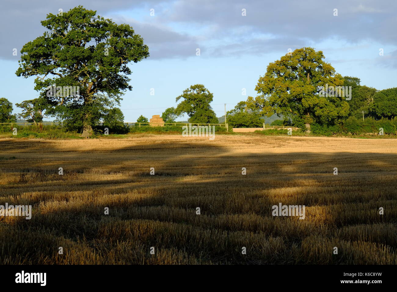 Bunbury, Cheshire, England, Rural, Arable Stubble Harvest, Golden ...