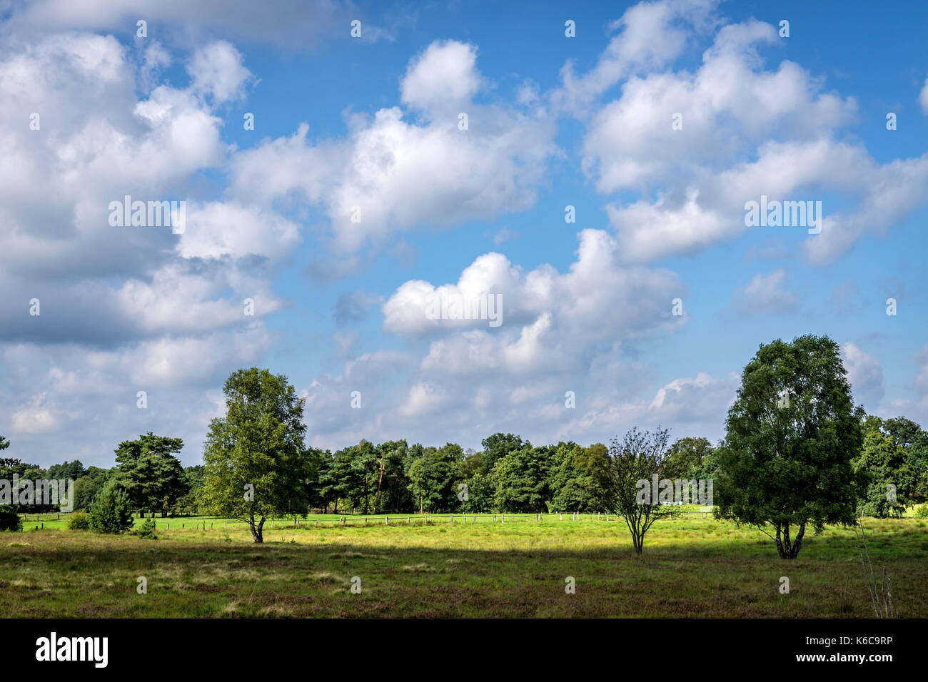 Heide park germany hi-res stock photography and images - Alamy