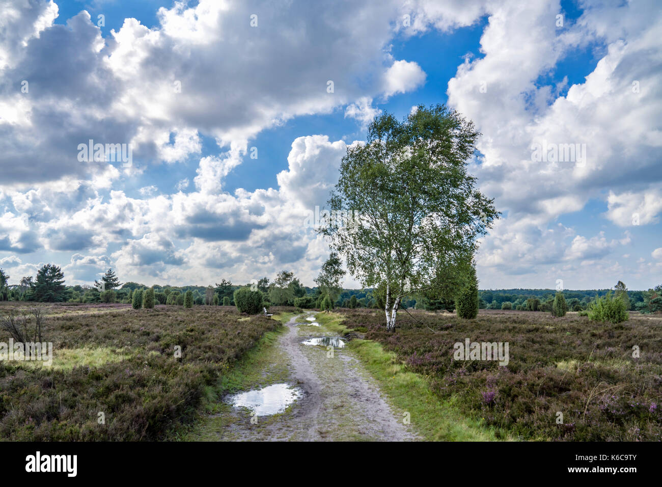 Heide park germany hi-res stock photography and images - Alamy